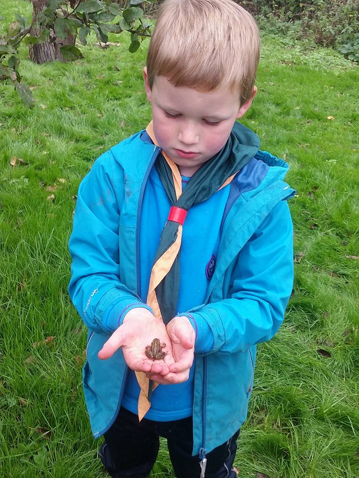 Frog | 20th Worcester Scout Group